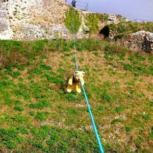 Dorset Events – inDorset